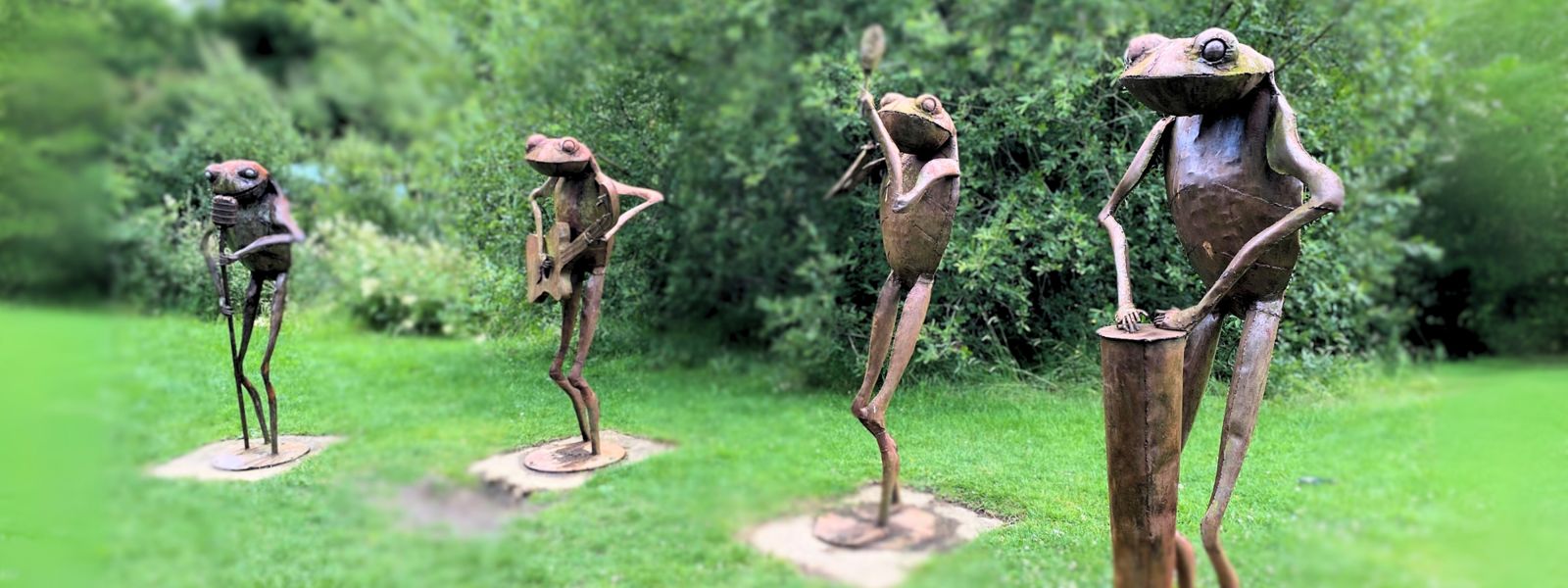Frog Band | The Parks Trust
