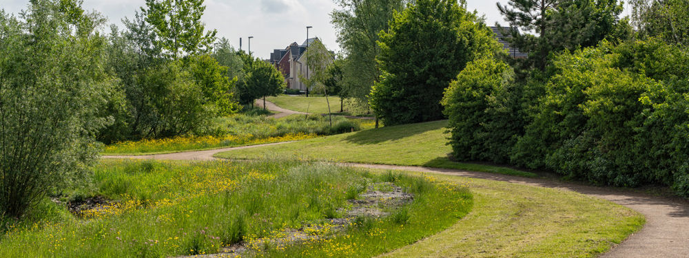 Brooklands Meadow Park | The Parks Trust