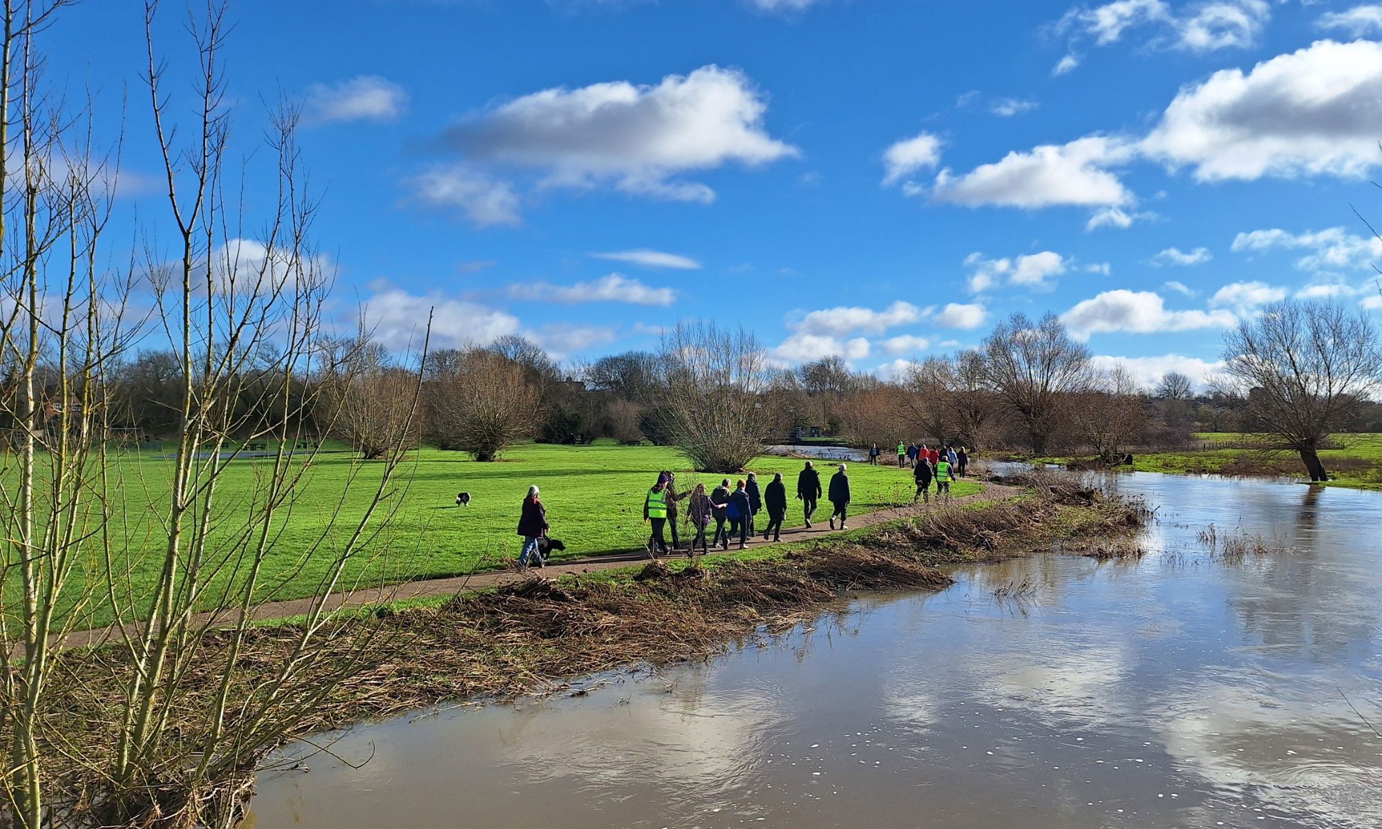 Linford Wood | The Parks Trust