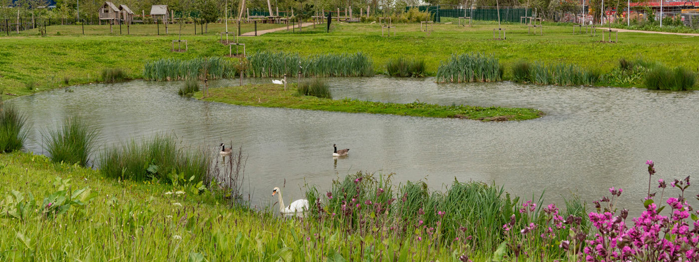 Glebe Farm | The Parks Trust