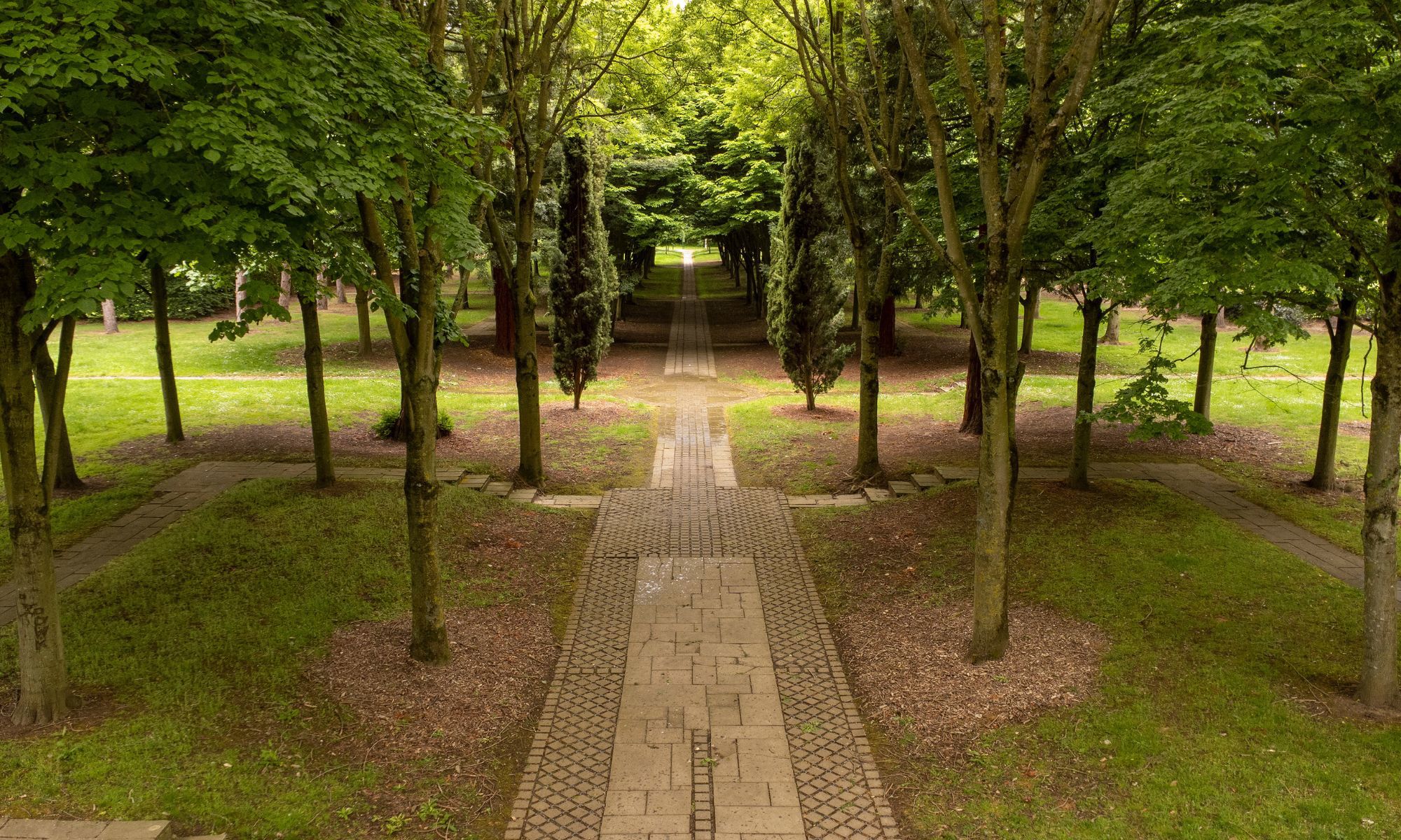 Tree Cathedral | The Parks Trust