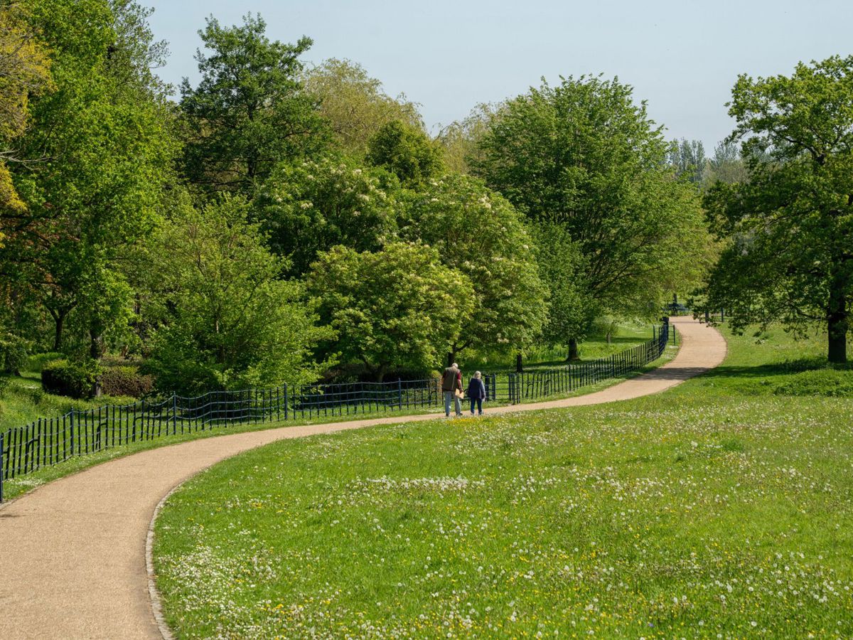Running Clubs and Events | The Parks Trust