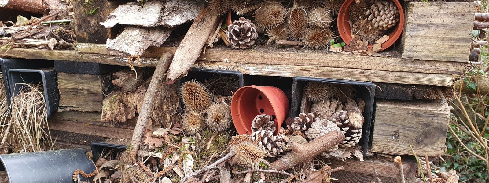 How To Make A Mini Bug Hotel | The Parks Trust