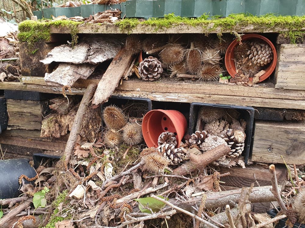 How To Make A Mini Bug Hotel | The Parks Trust