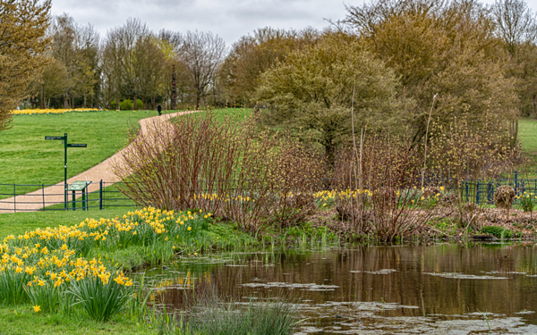 Pond Dipping and Adaptations - Primary School Session | The Parks Trust