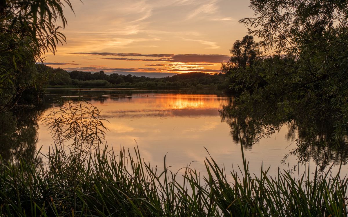 Linford Lakes Nature Reserve | The Parks Trust