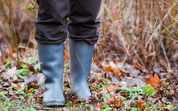 Seasons and Senses - Primary School Session | The Parks Trust