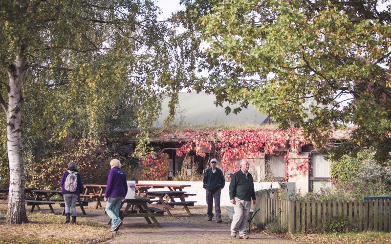 Linford Lakes Nature Reserve | The Parks Trust