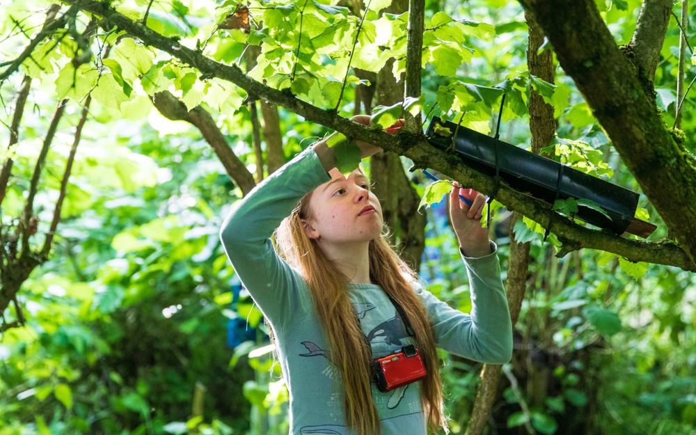 Youth Explorers | The Parks Trust