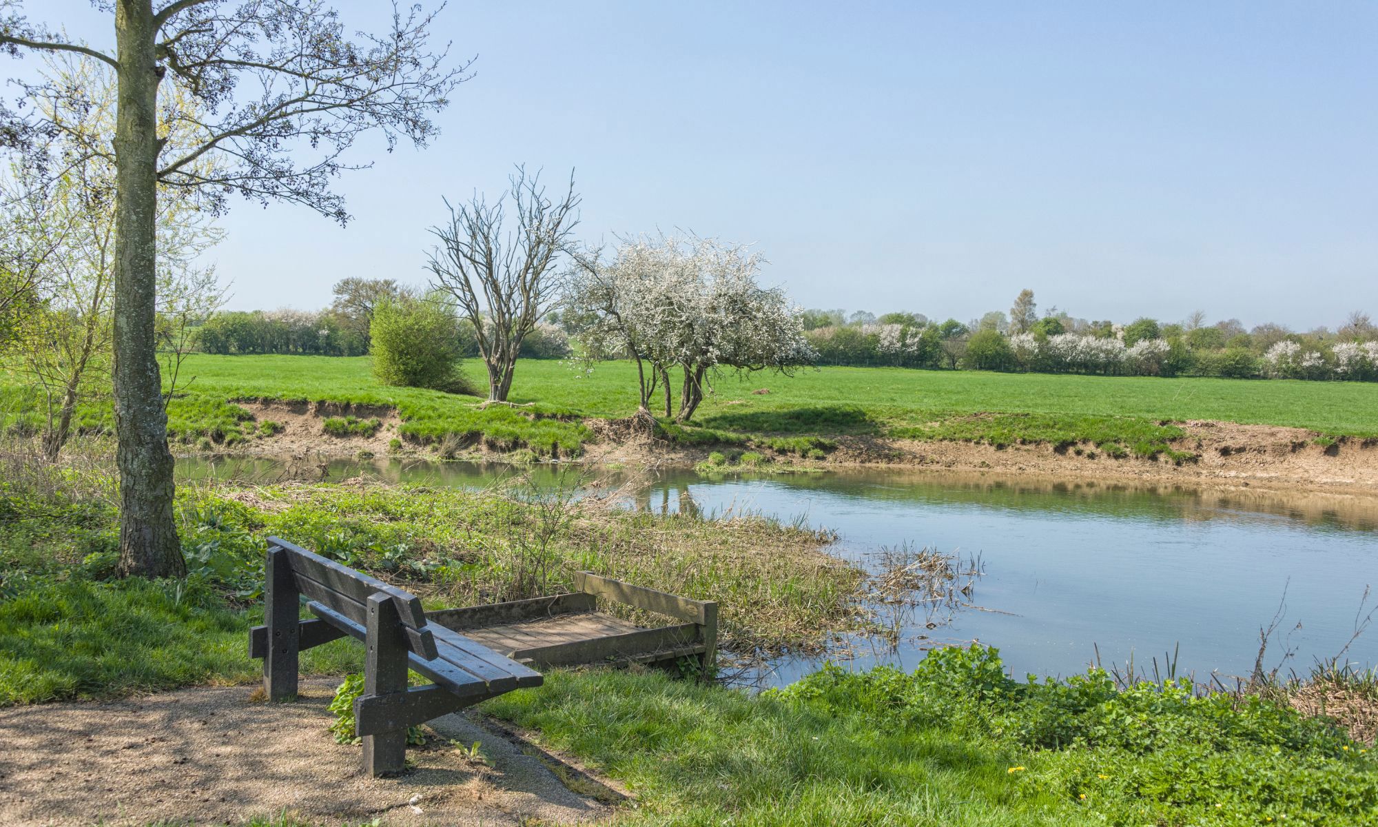 Millfield | The Parks Trust