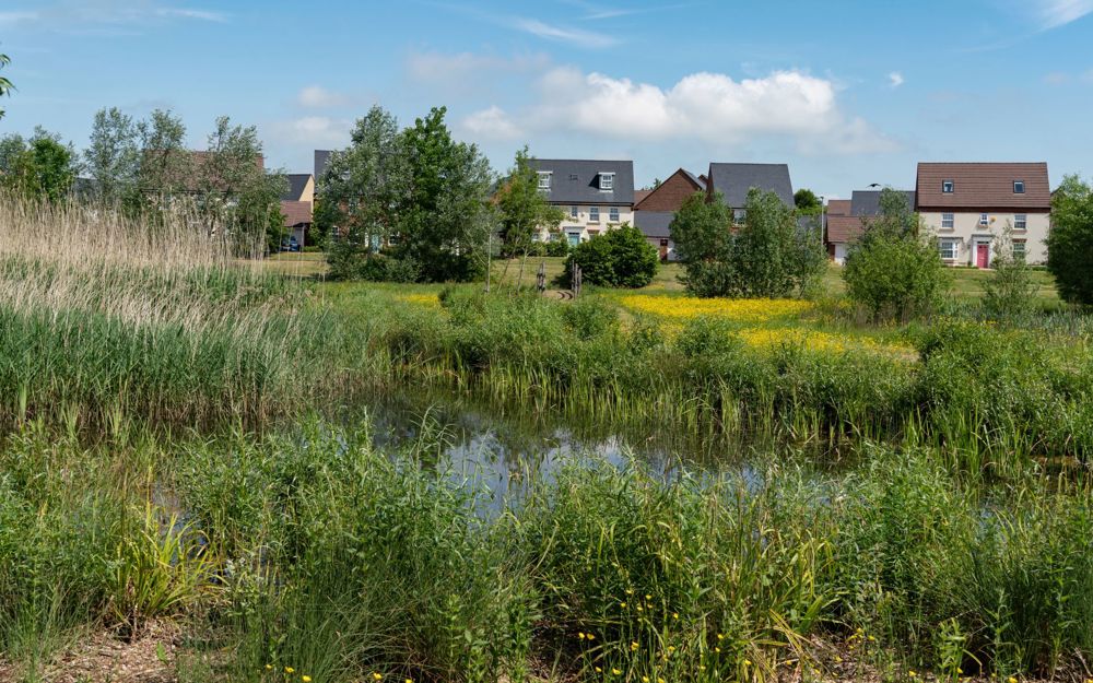 Flood Defences | The Parks Trust