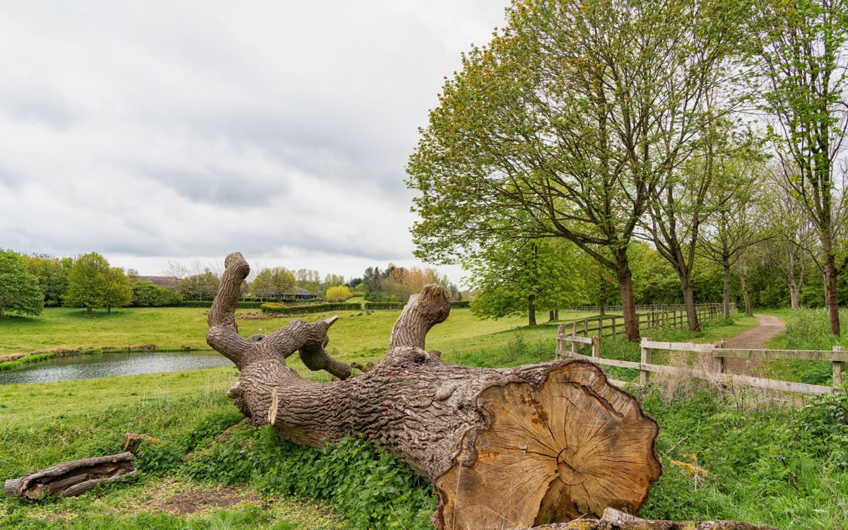 Wolverton Mill Balancing Lake | The Parks Trust