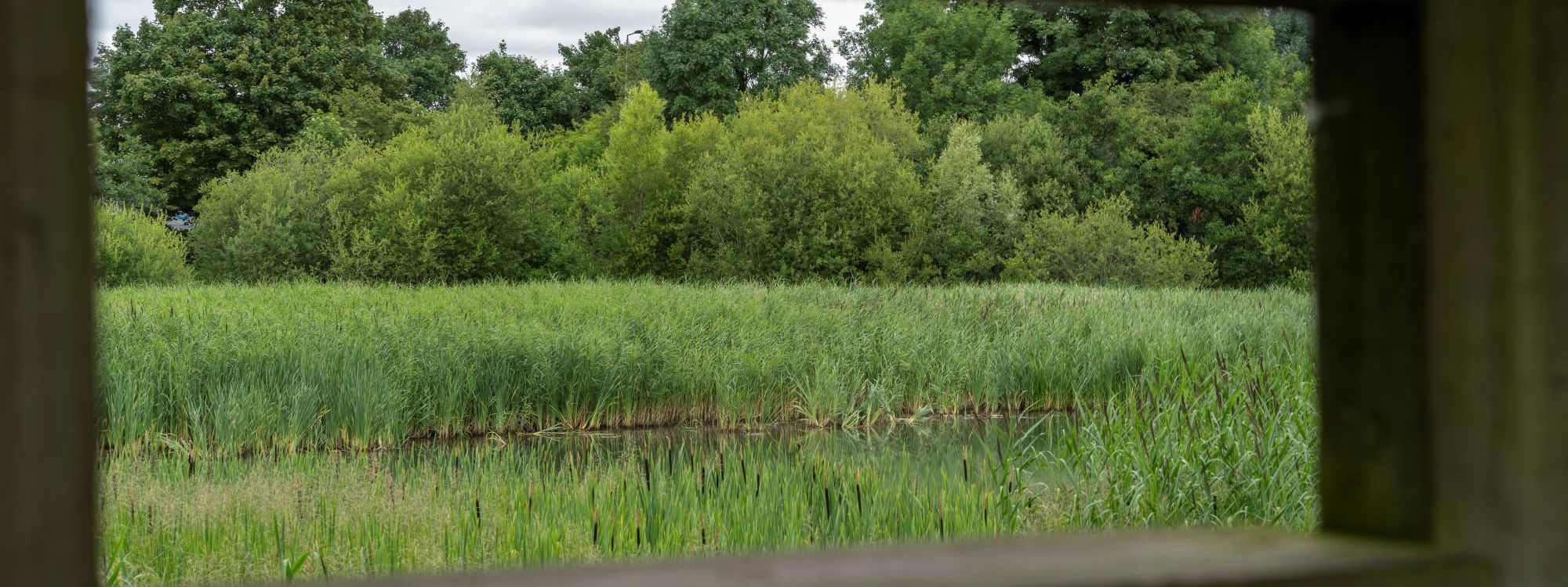 Walton Lake | The Parks Trust