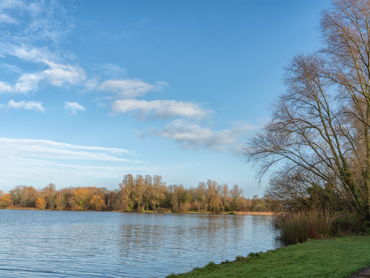 Linford Lakes Nature Reserve | The Parks Trust