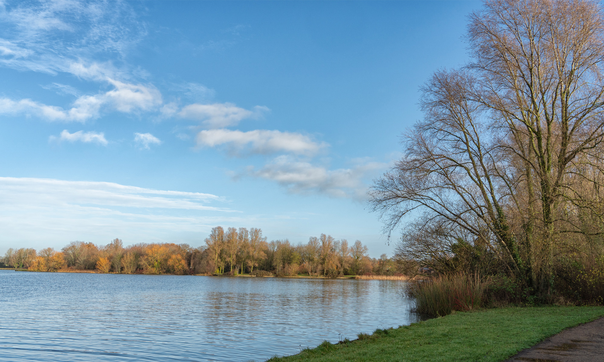 Teardrop Lakes | The Parks Trust