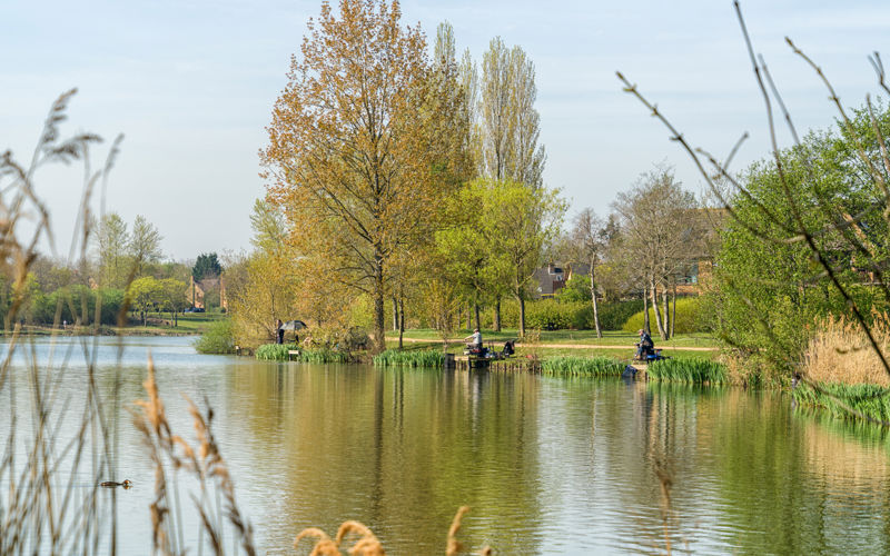 Furzton Lake | The Parks Trust