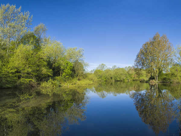 Howe Park Wood | The Parks Trust