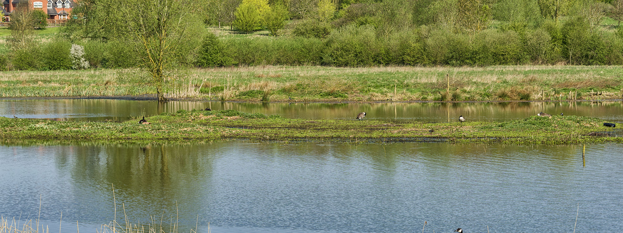 Stony Stratford Nature Reserve | The Parks Trust