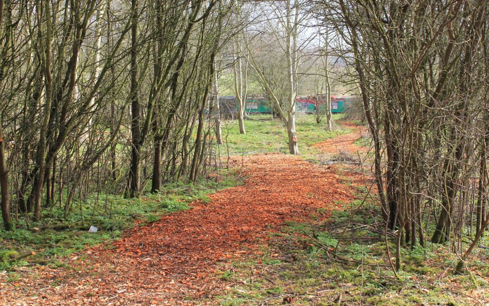 Stanton Low Park | The Parks Trust