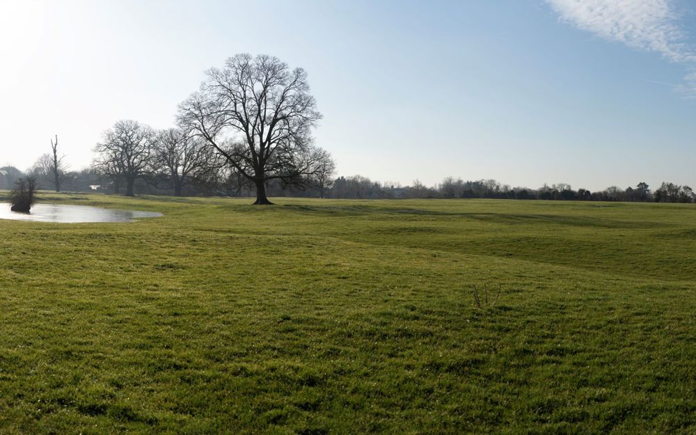 Wolverton Castle & Medieval Village | The Parks Trust