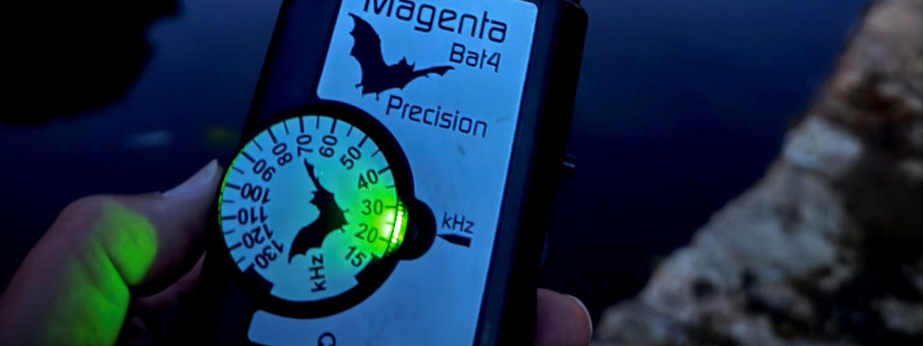 Adult Bat Walk - Great Linford Manor Park | The Parks Trust