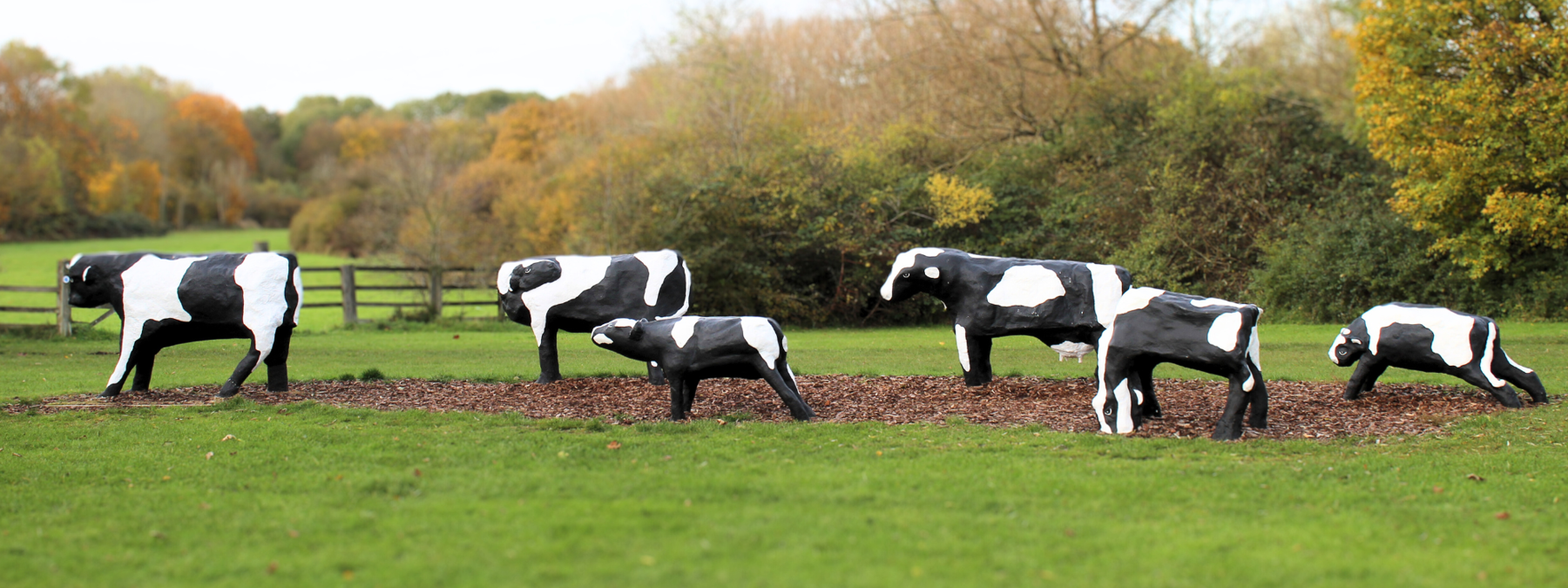 Concrete Cows | The Parks Trust