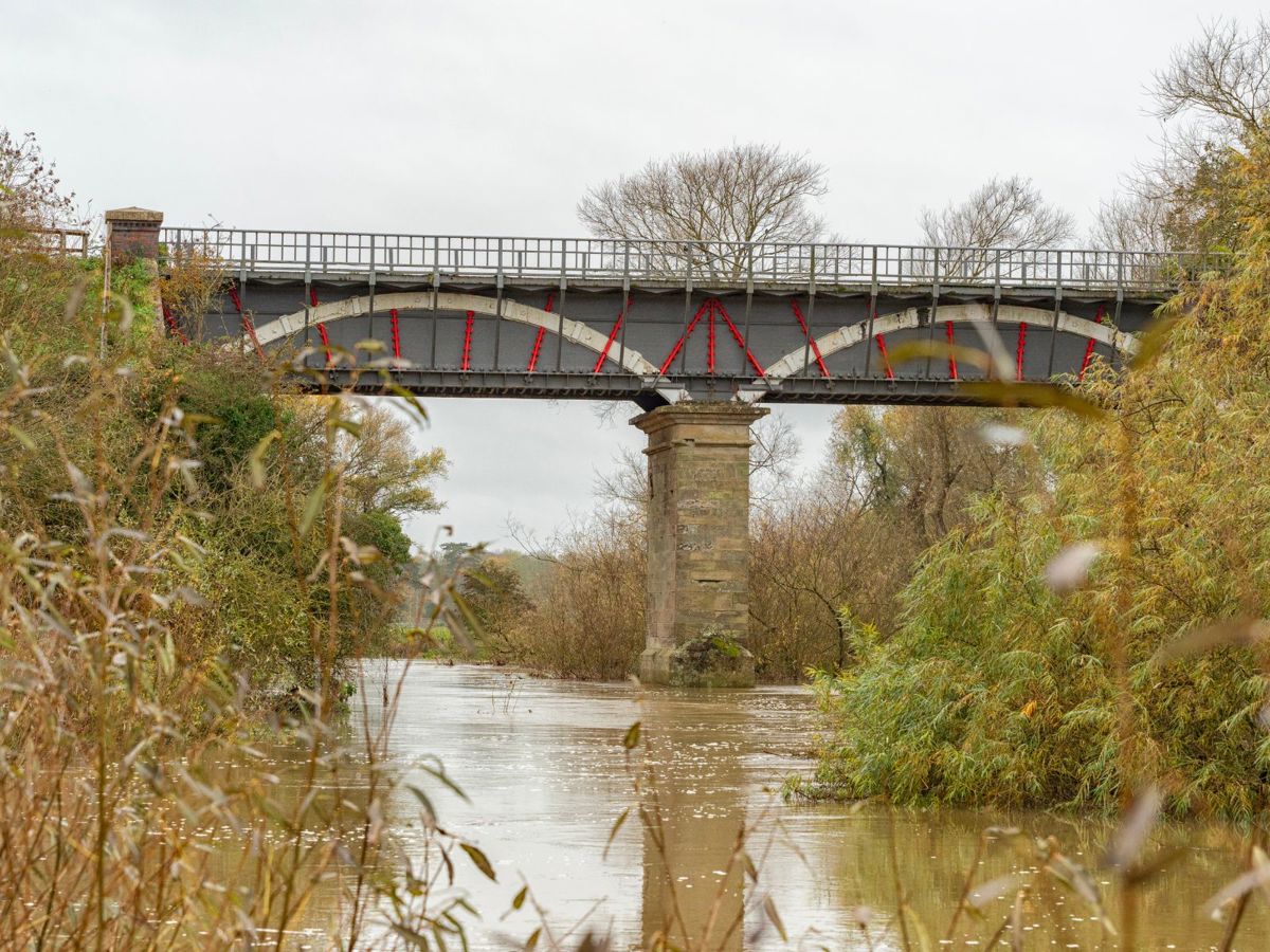 How To Bug Hunt | The Parks Trust