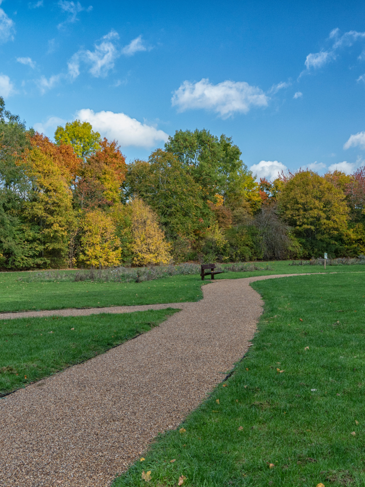 Tree Cathedral | The Parks Trust