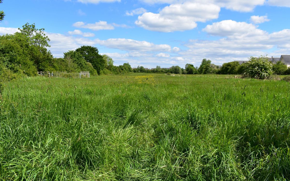 Oxley Park | The Parks Trust
