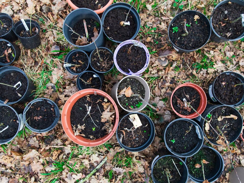 Linford Lakes Nature Reserve | The Parks Trust