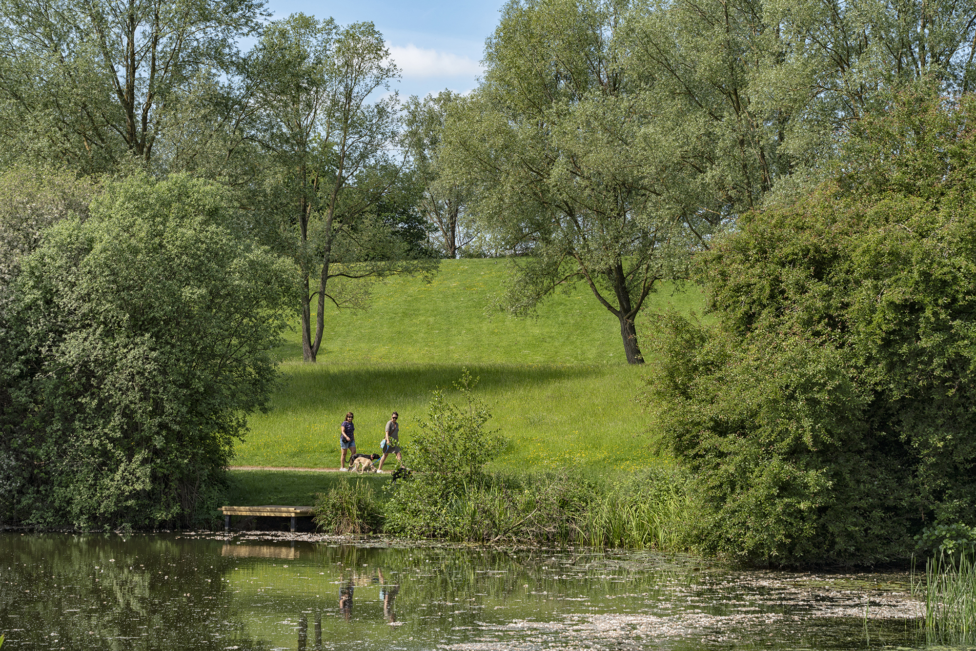 Teardrop Lakes | The Parks Trust