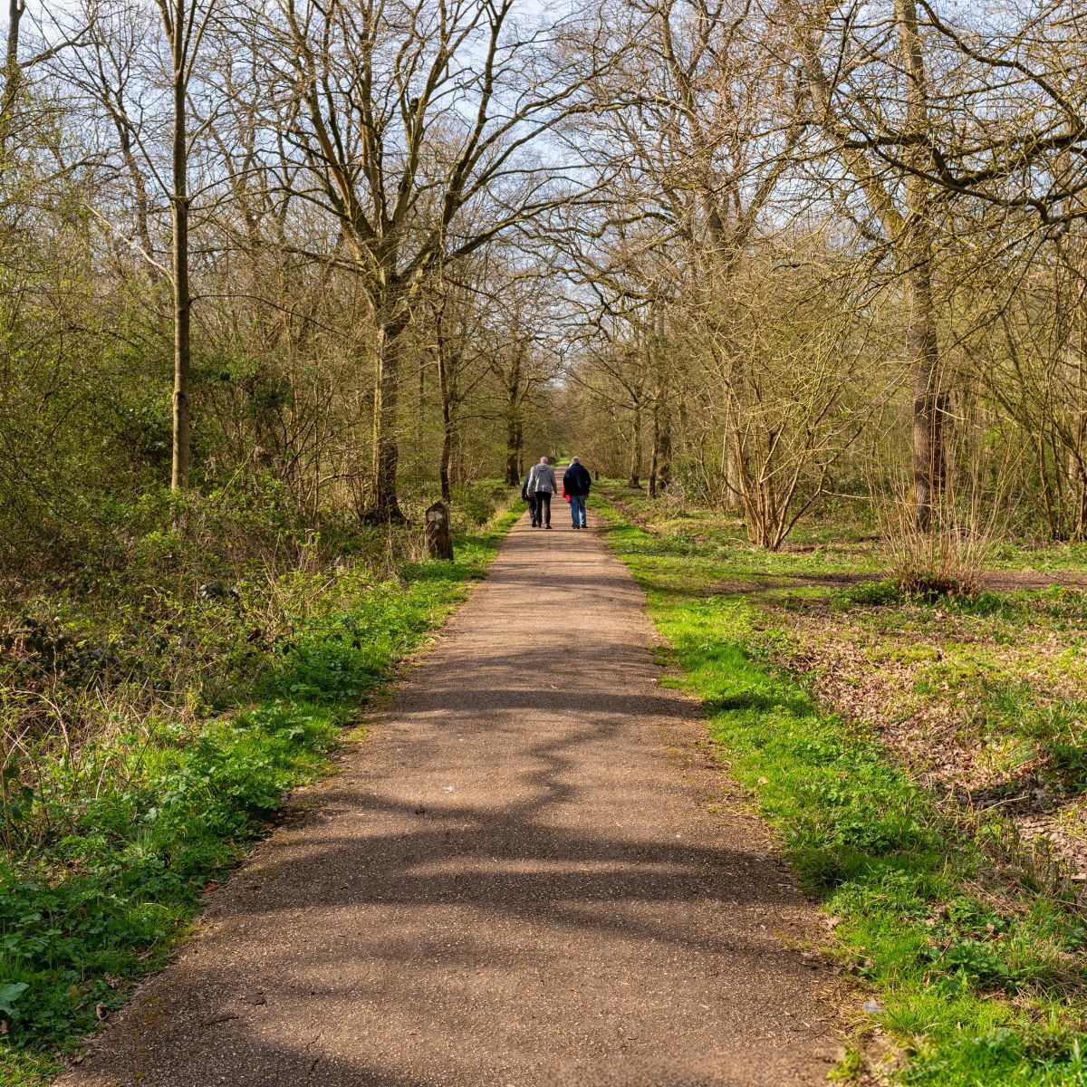 The Parks Trust | The Parks Trust